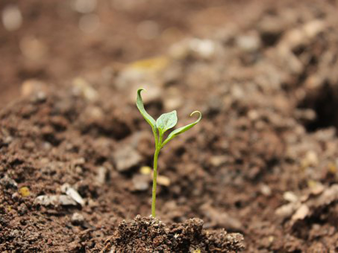 «Coltiviamo nei giovani il seme della legalità»