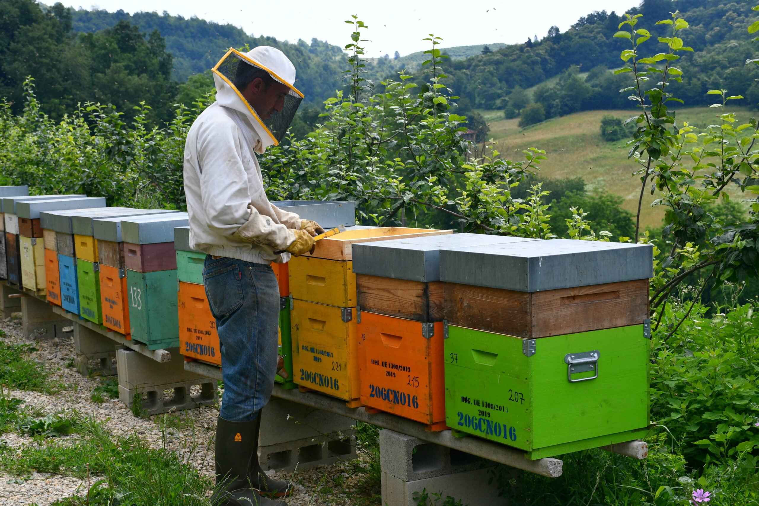 onecms_1356f34d-4828-4193-a5a5-927922f5c043 - Gazzetta d'Alba - Dal ...