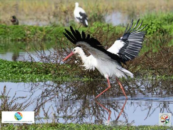 Il futuro oggi, le foto naturalistiche di Kaceli esposte a Treiso