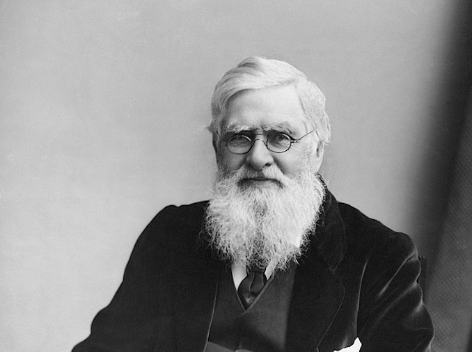 Alla Notte dei musei di Bra si parlerà di Alfred Russel Wallace