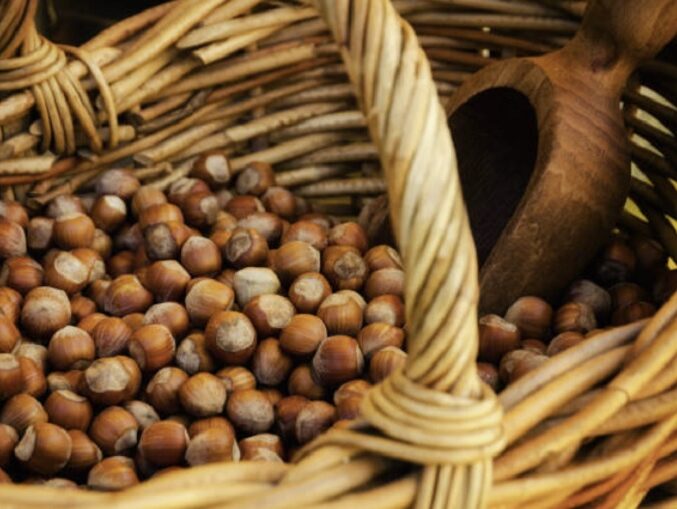 nocciole piemonte - Gazzetta d'Alba - Dal 1882 il settimanale di Alba ...