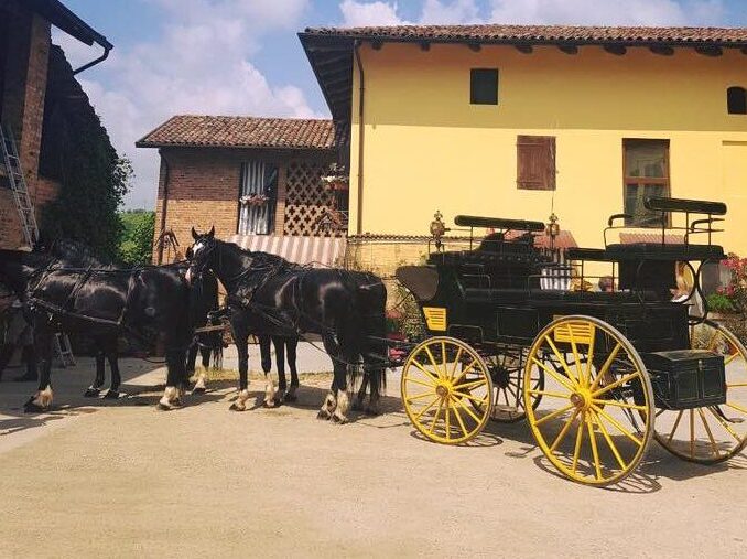 Sapori e tradizione: in carrozza sulle colline del Roero